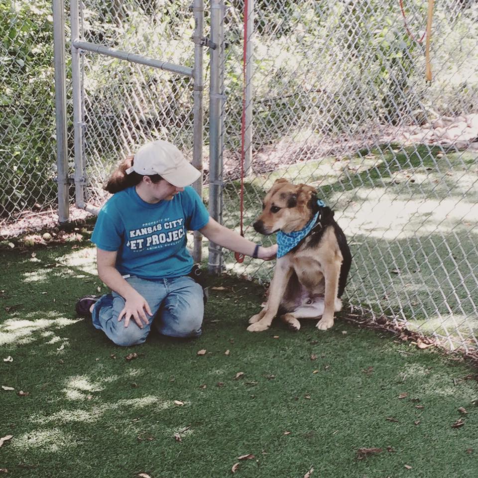 KCPP Volunteer Newsletter - May 2021