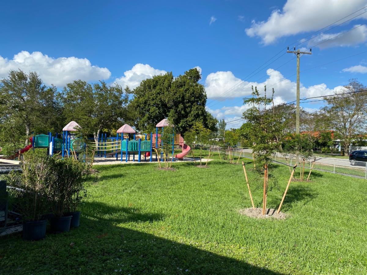 Comm. Javier D. Souto Weekly E-Newsletter