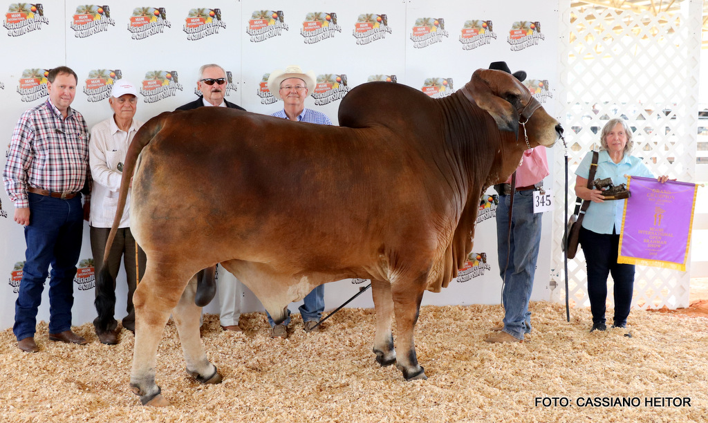 Comm. Javier D. Souto Weekly E-Newsletter