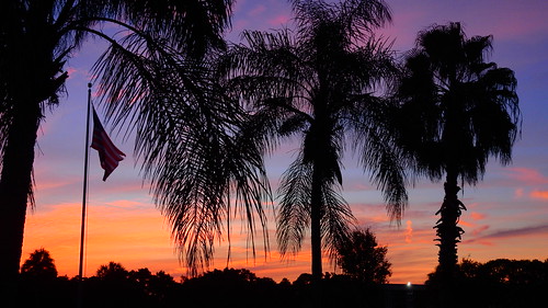 Martin County Library Adult Events