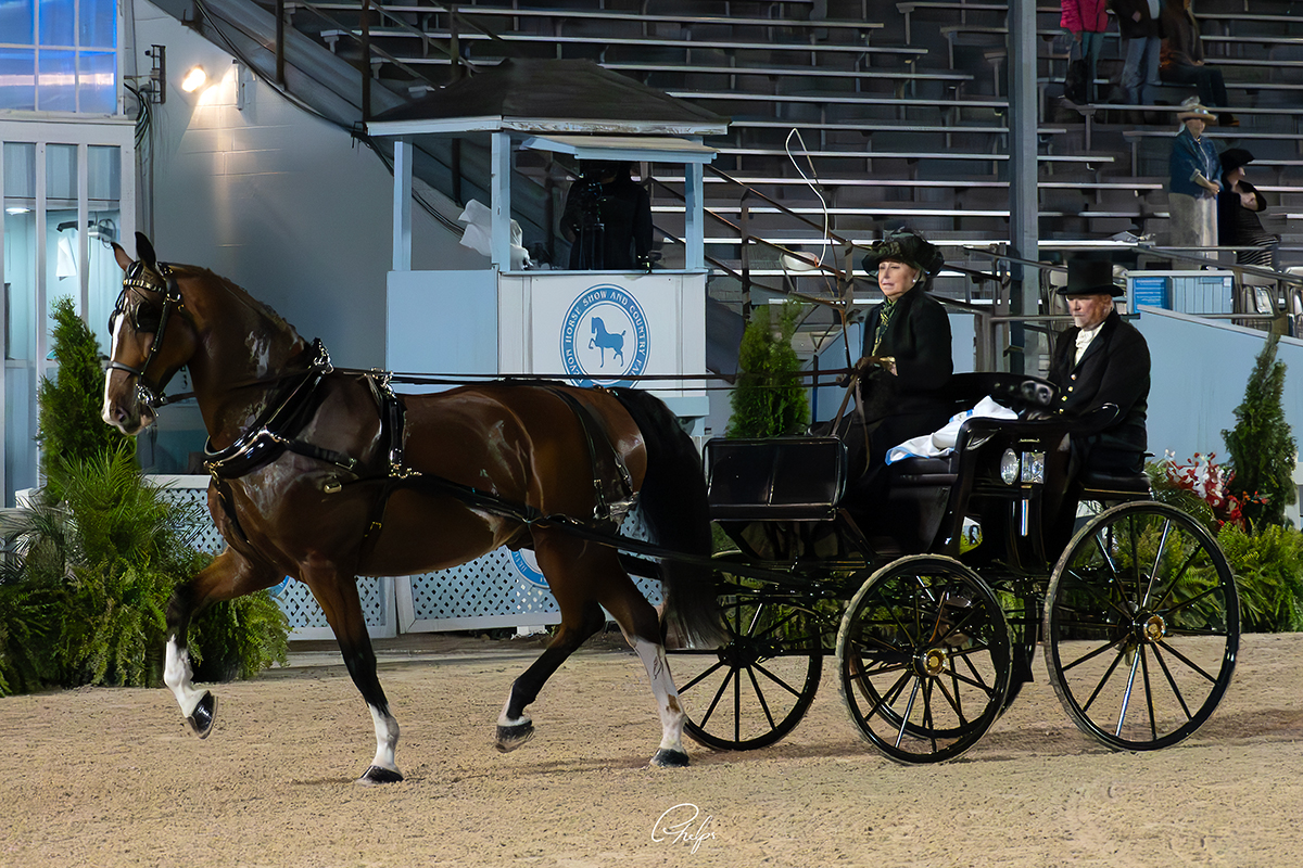 Devon Daily – May 27, 2025