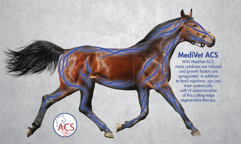 Phelps Media Group, Inc. International Announces New Client: MediVet Equine