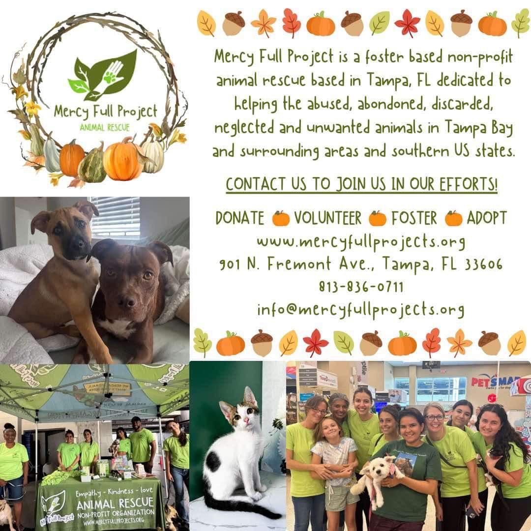 Hometown Harvest & Holiday Bazaar at Connerton