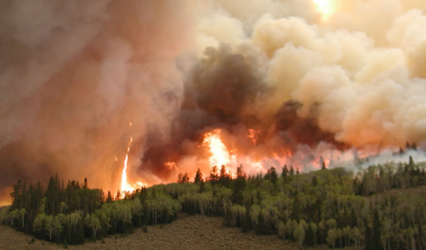 Bullet points: Your SPFGA News for November 1, 2025