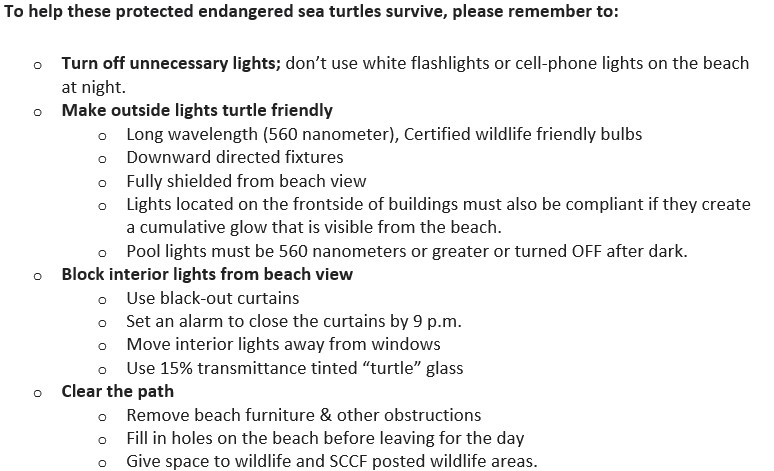 Share the Shore with Sea Turtles on Sanibel: 2021 Nesting Season Is Underway