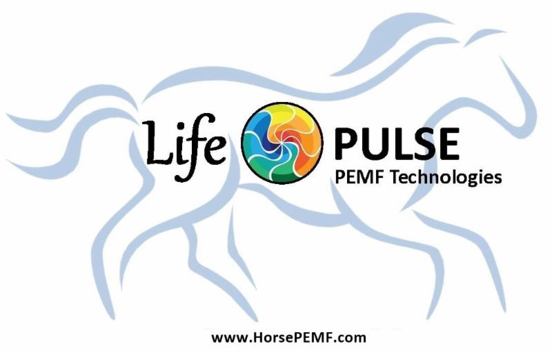 Dont Miss These Deals On Newest Most Advanced PEMF Systems In The World