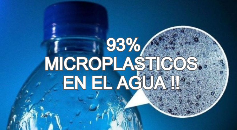 Celebremos el Dia del Agua sin Microplásticos y Contaminantes