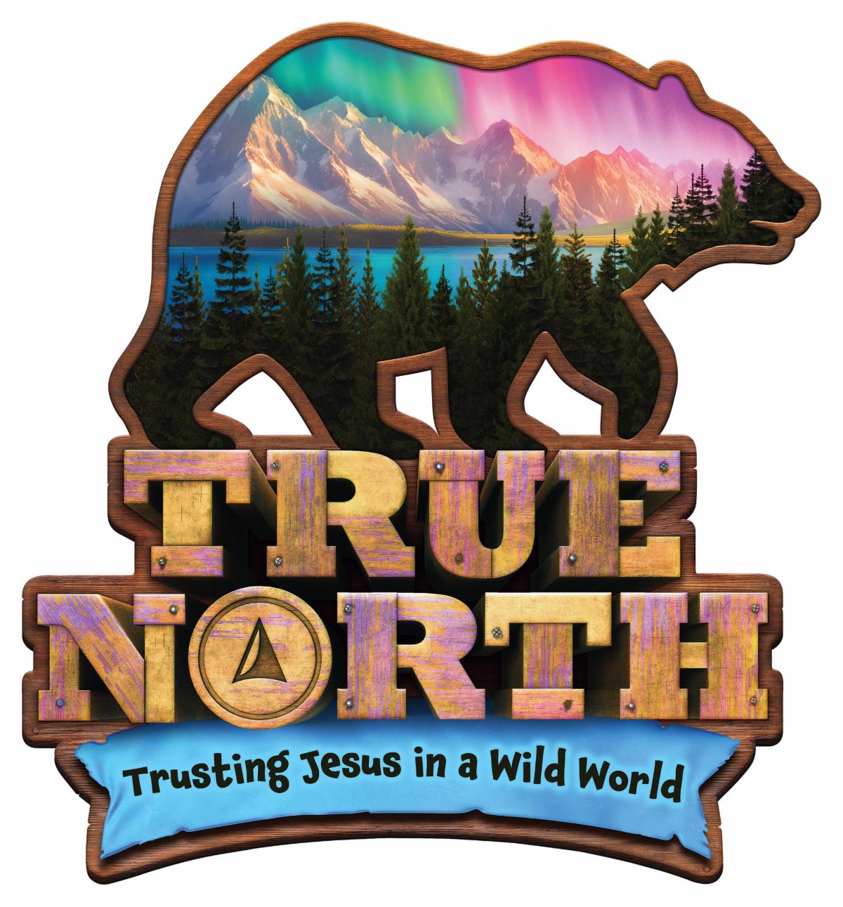 True North Adult Volunteer Information email 2
