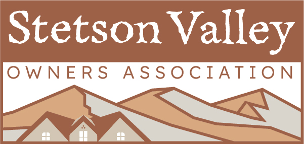 Stetson Valley Bulletin | eNews for March 1, 2024