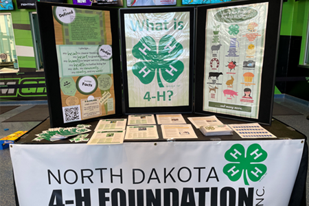 4-H Newsletter