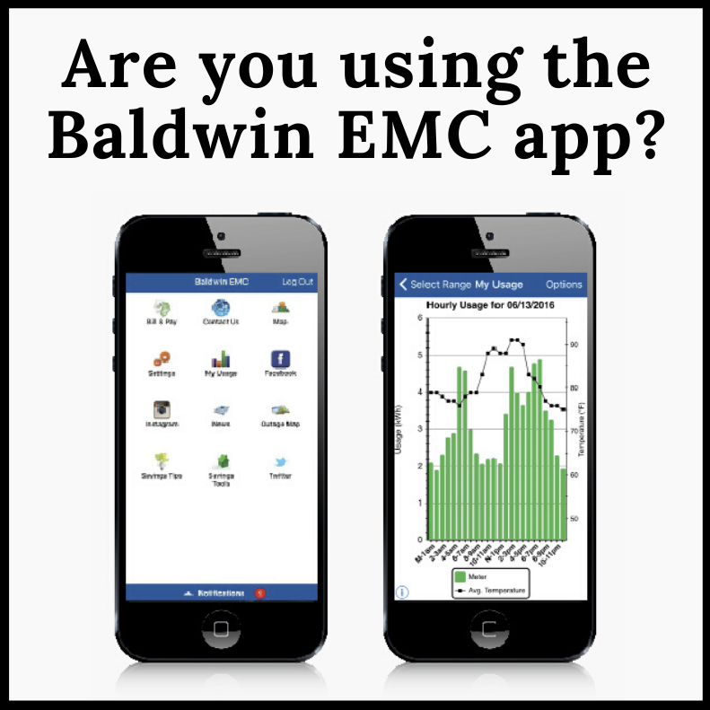 Mark Your Calendars for the 2022 Baldwin EMC Annual Meeting!