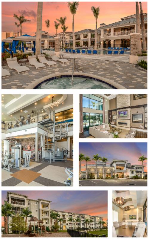 Introducing Peridot Palms