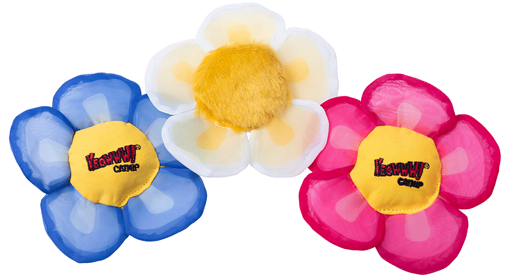 NEW PRODUCT: Daisy's Flower Tops