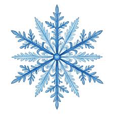 Snowflake Fund for Upper and Lower School Faculty and Staff!