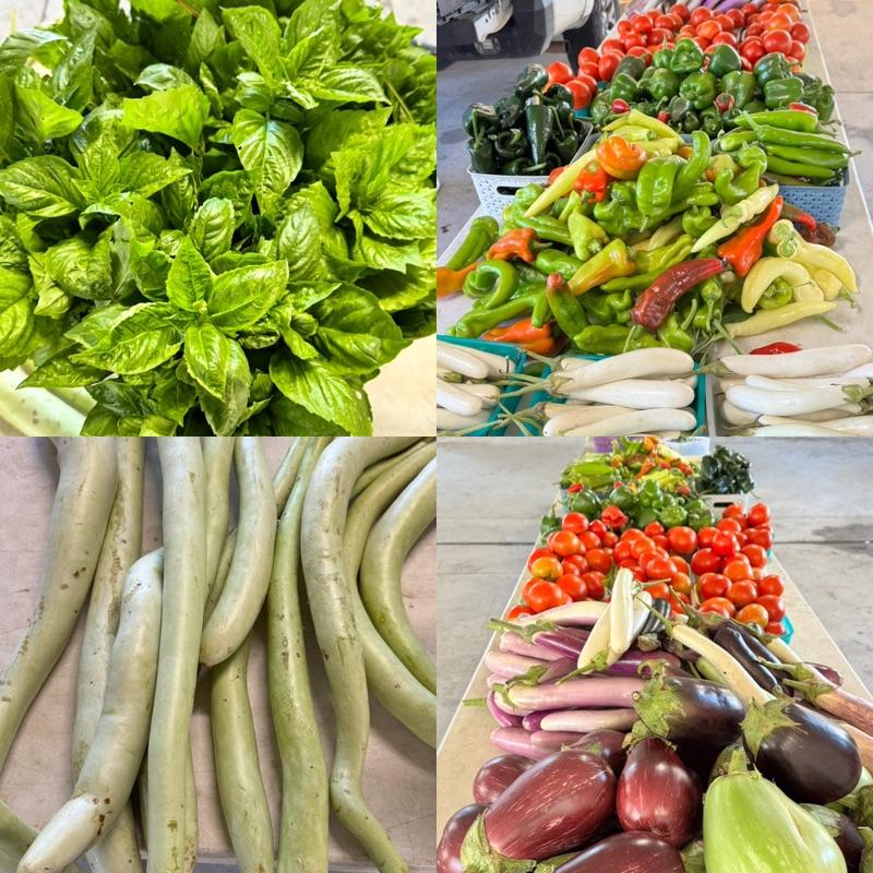 Learn to grow Microgreen, Demo @ 10:00, Seasonal Produce ,Pastured ...