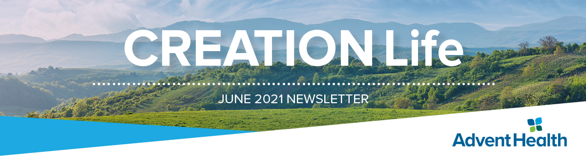 CREATION Life Newsletter - June 2021