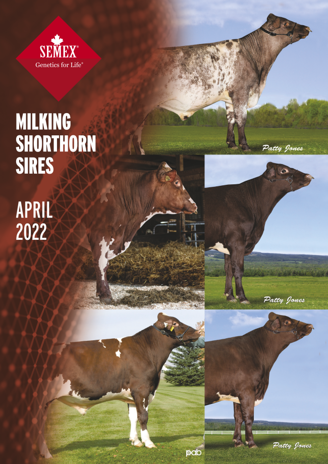 Semex - Milking Shorthorn Sires April 2022