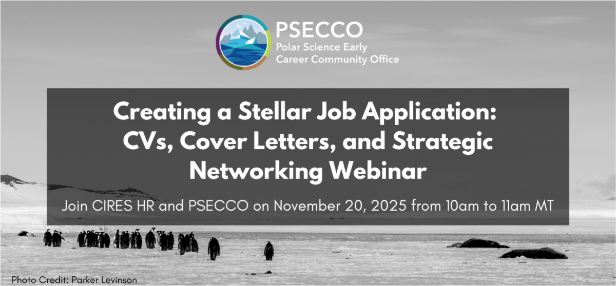 ‘Creating a Stellar Job Application: CVs, Cover Letters, and Strategic Networking’ Webinar | SCAR