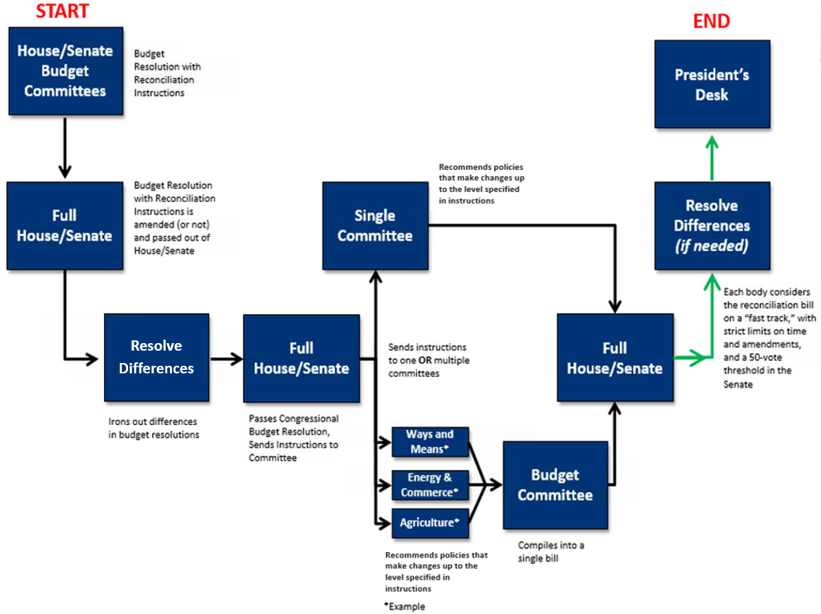 Everything You Need to Know About Budget Reconciliation