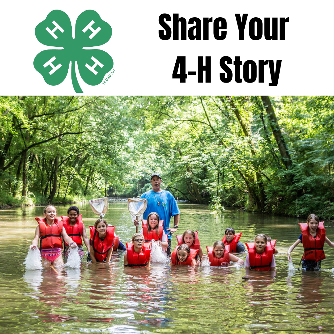 November 4-H News - 4-H Enrollment is open, Archery, council elections ...