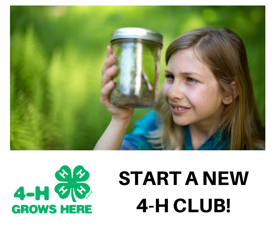 November 4-H News - 4-H Enrollment is open, Archery, council elections ...