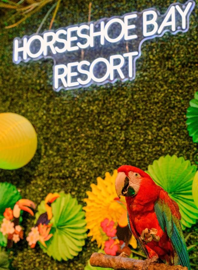 Your 2024 Spring Break Destination