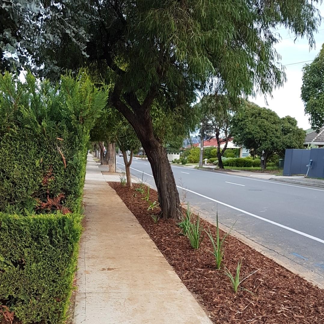 Energy efficiency workshops - Green your verge - Plant sale - Funding ...