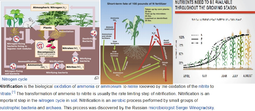 TRIAZONE A MAJOR BREAK THU IN NITROGENS; WORKS FASTER, IS CHEAPER AND ...