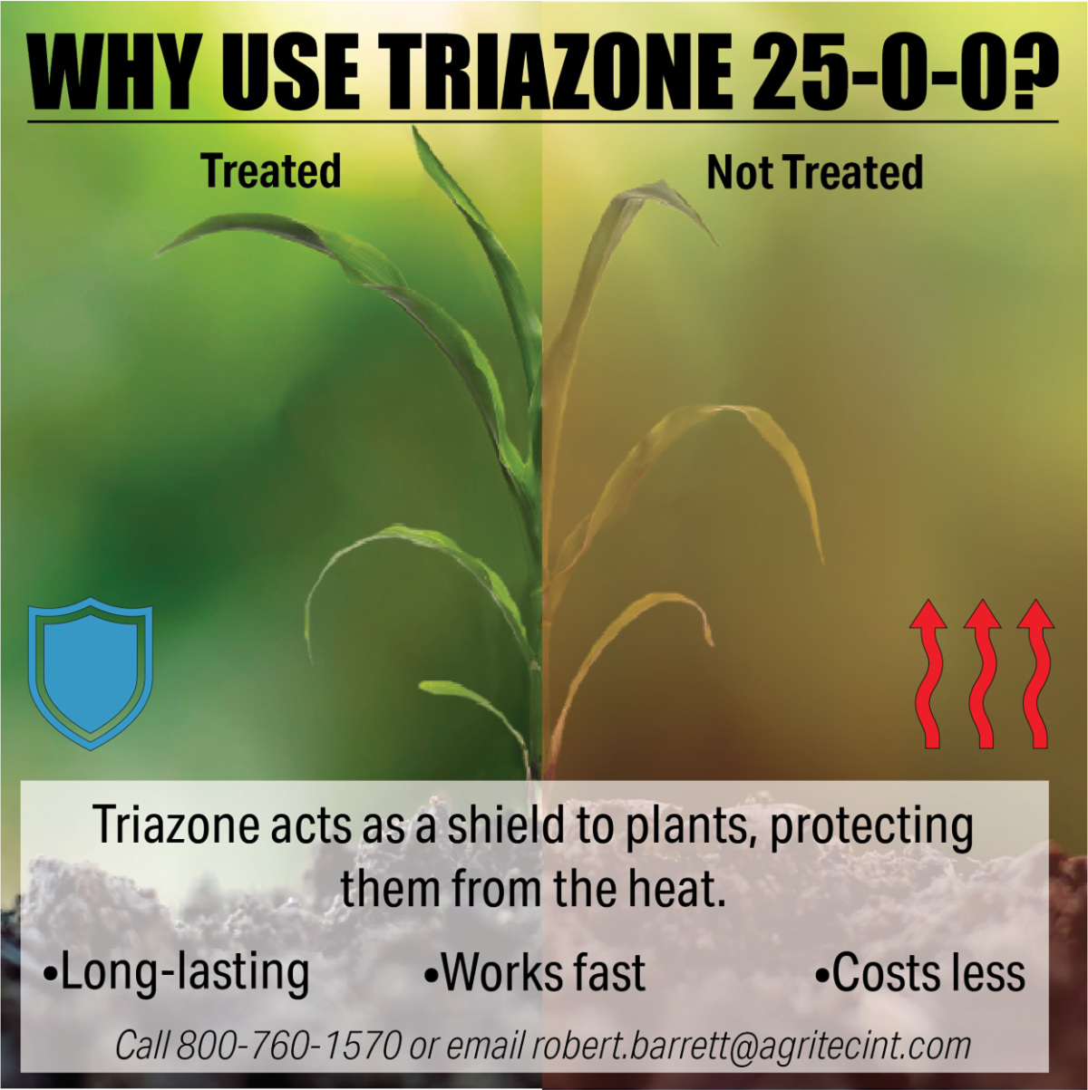 TRIAZONE A MAJOR BREAK THU IN NITROGENS; WORKS FASTER, IS CHEAPER AND ...