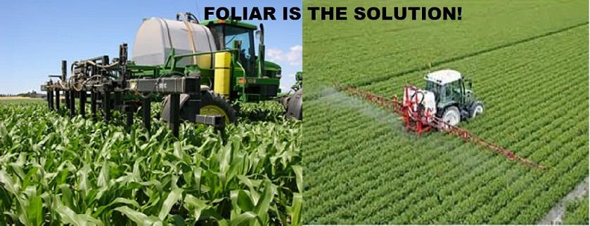 TRIAZONE A MAJOR BREAK THU IN NITROGENS; WORKS FASTER, IS CHEAPER AND ...