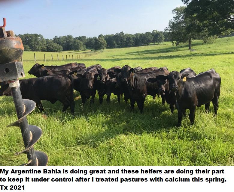 Thank you for your interest in AgriTec International