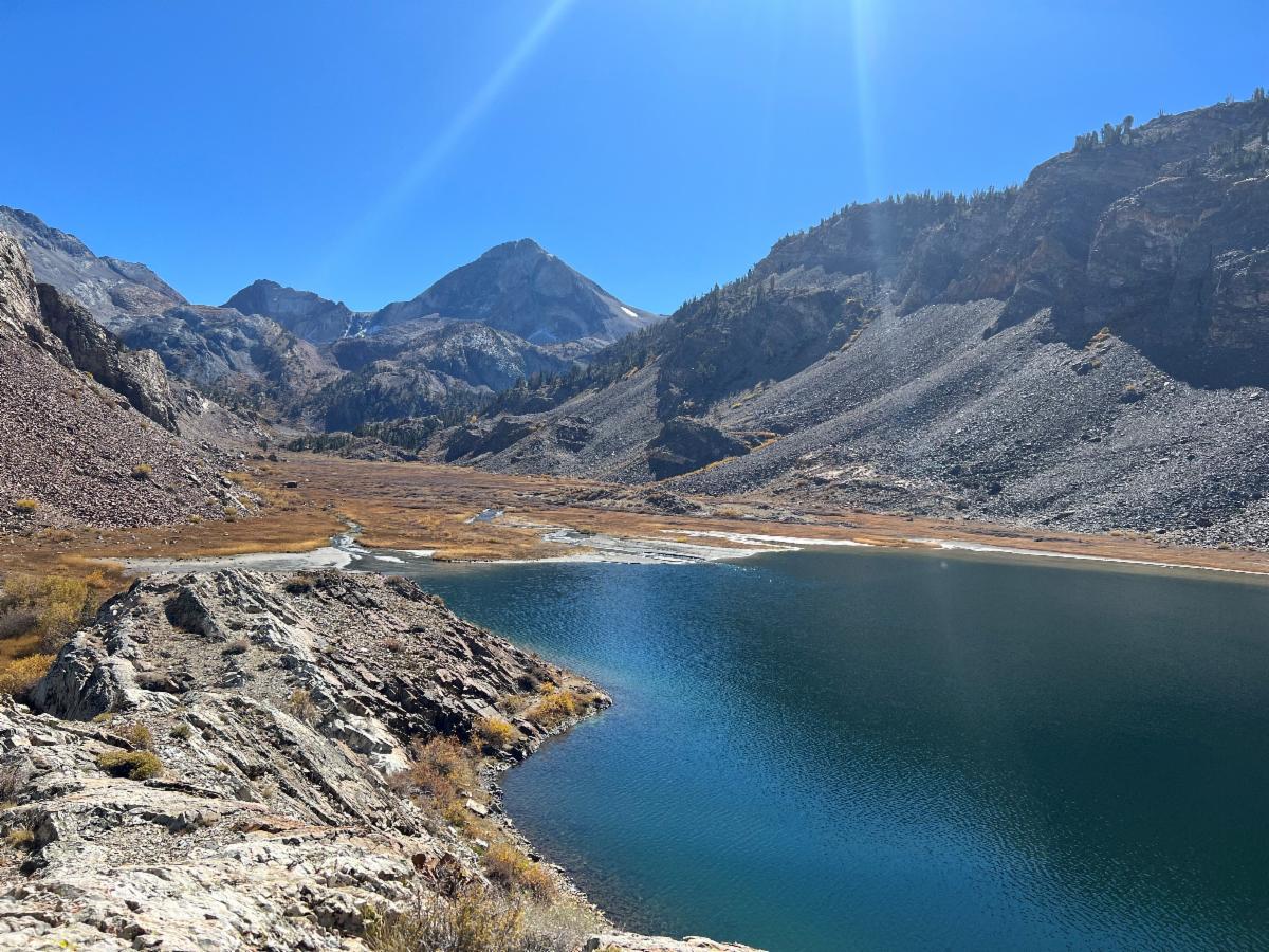 November Provider Update - TFHD Email