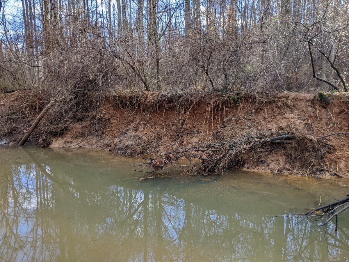 Learn about the Biscuit Run Stream Restoration Project
