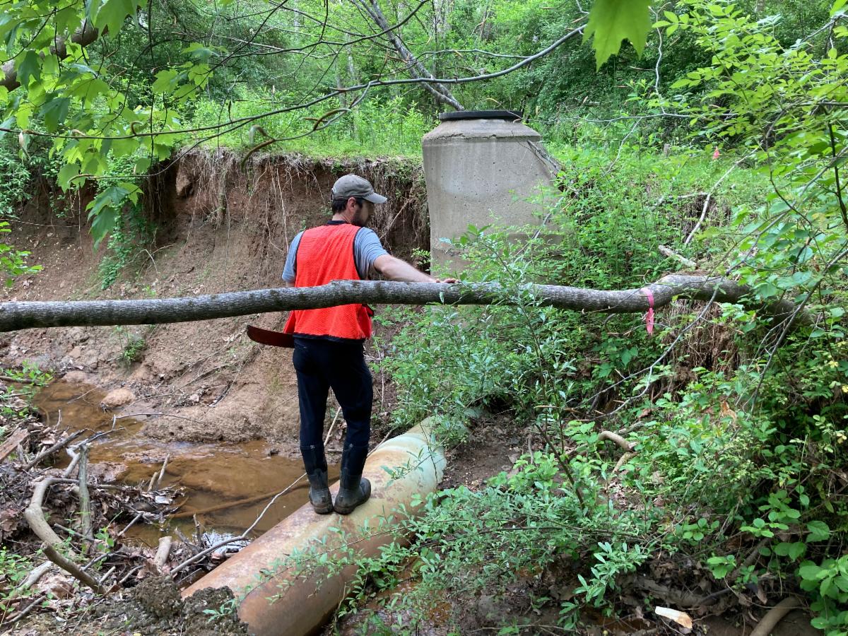 Learn about the Biscuit Run Stream Restoration Project