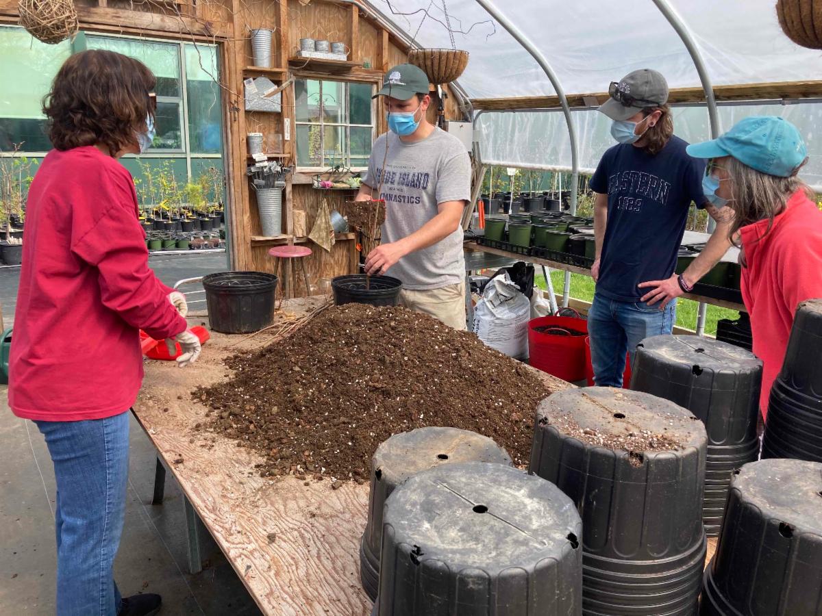 Welcoming New Trees to Newport