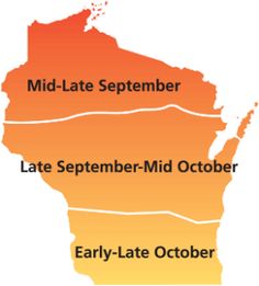 Library & Community News