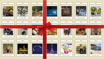 BookBrowse Highlights: Our Top 20 Best of Year Books