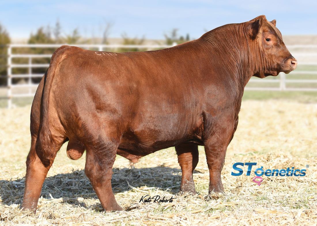 Introducing Red U2 Dominion