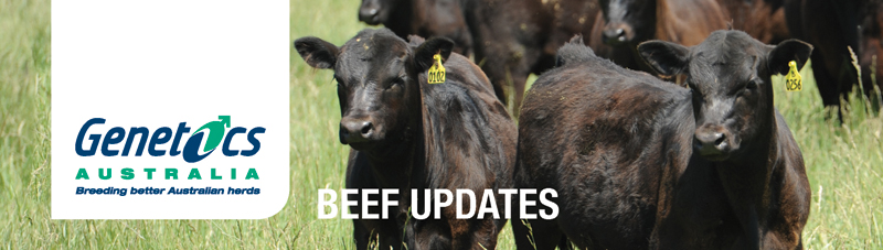 Introducing Red U2 Dominion