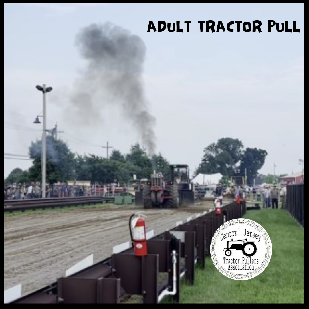 Saturday Schedule 2025 BCFF