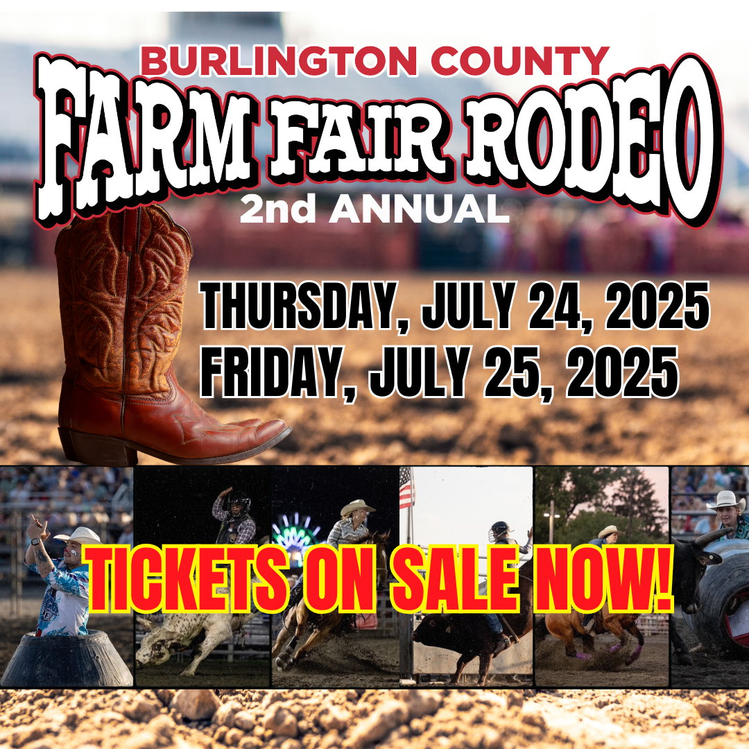 Thursday Schedule 2025 BCFF