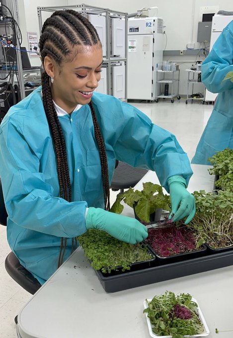 Dear COCO Family Your COCO Bits v12 v3