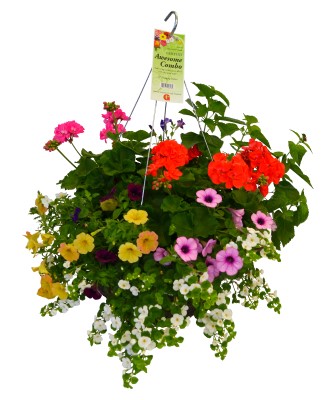 Gertens Spring Flower Fundraiser for Prairie's Edge Humane Society