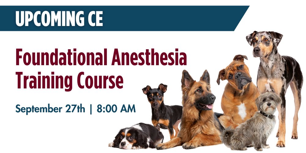 Anesthesia CE Course Now Open to Both LVTs & DVMs – Register Today