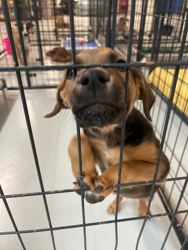 Dare you not to smile back at Kacy!