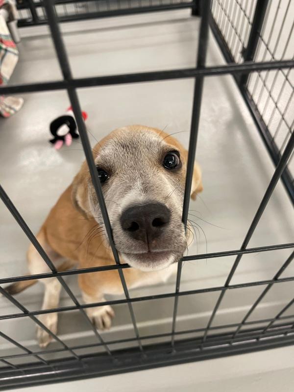 Dare you not to smile back at Kacy!