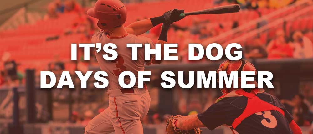 Why you should maximize your power with the E + I Busway.