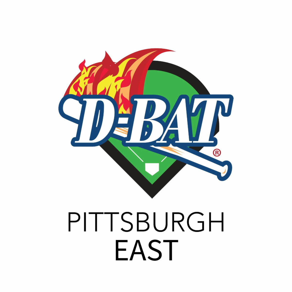 WHAT IS D-BAT PITTSBURGH EAST?