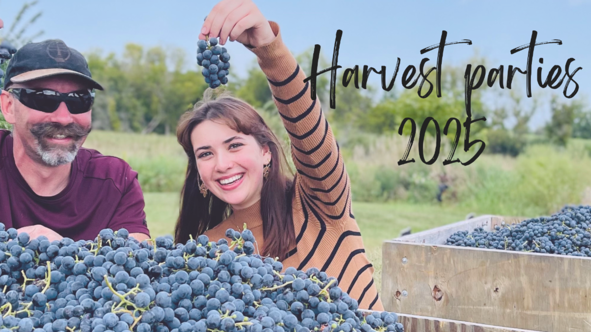 HARVEST 2025 / HUNGARIAN HARVEST FESTIVAL