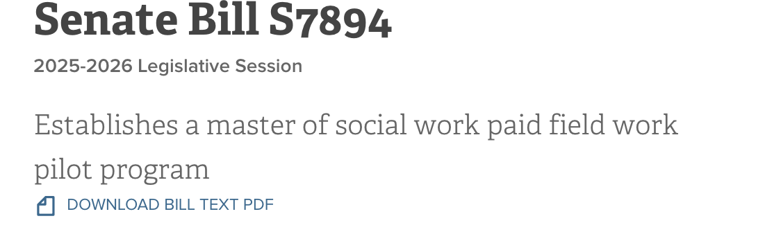 Access Now! Guide for Social Workers on recent Federal changes